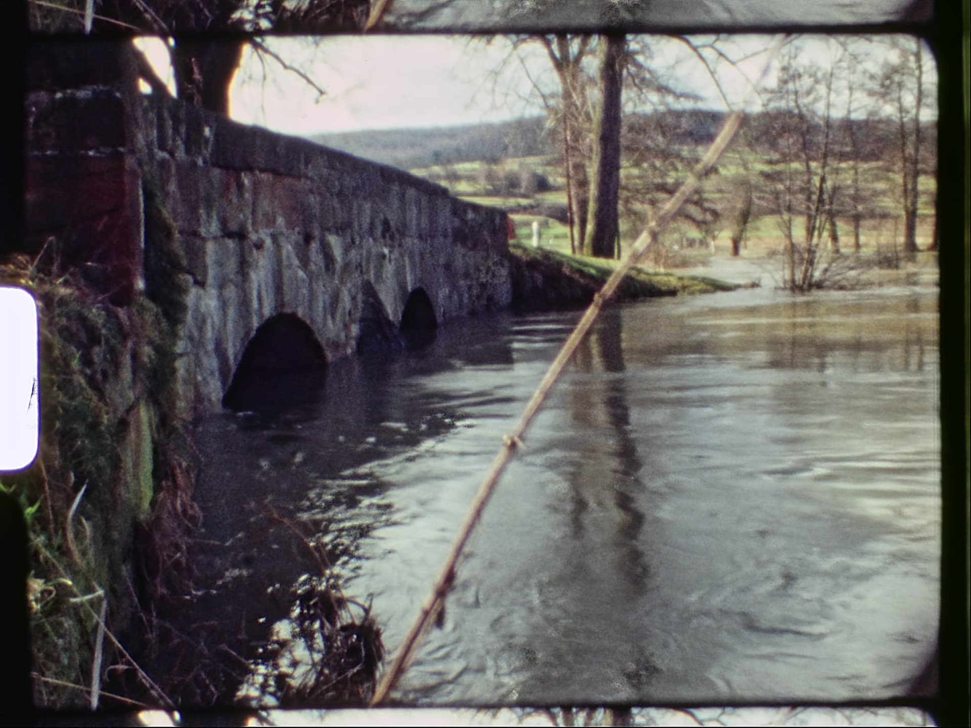 Comparison Scan 2020 vs Scan 2024 - Research - Kinograph Forums