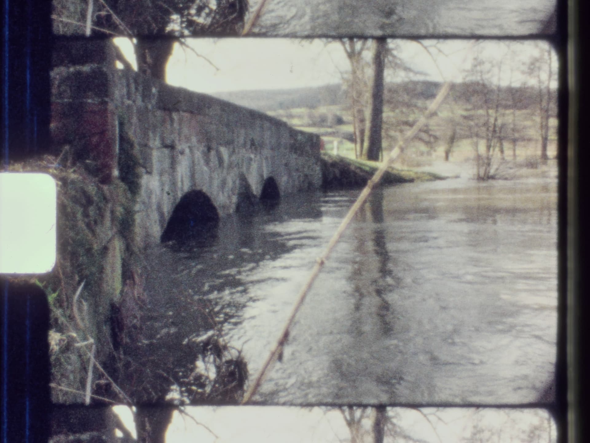 Comparison Scan 2020 vs Scan 2024 - Research - Kinograph Forums