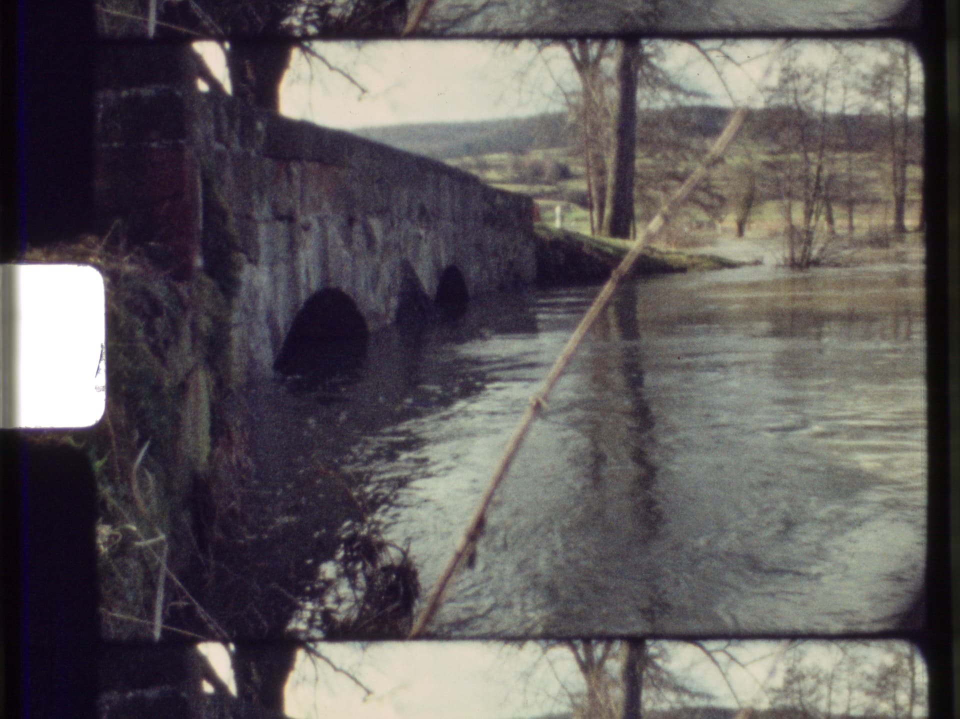 Comparison Scan 2020 vs Scan 2024 - Research - Kinograph Forums